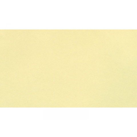 Buy Wibalin book cover paper, coloured, matte online at Modulor