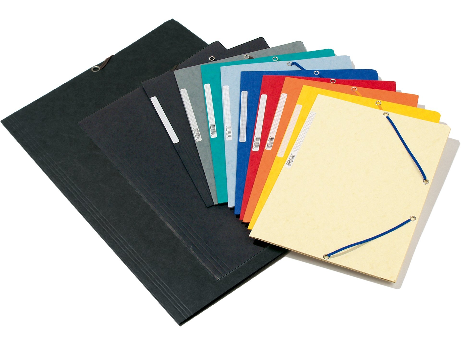 Buy Exacompta cardboard elasticated folder online at Modulor