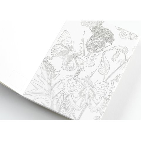 artist coloring book pepin