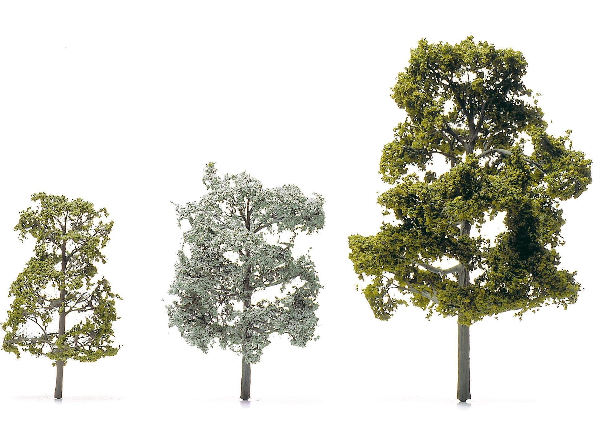 Buy Etched brass deciduous trees online at Modulor